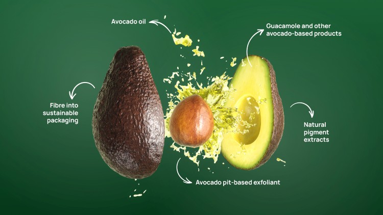 Westfalia Fruit continues to unlock value in the supply chain through ...